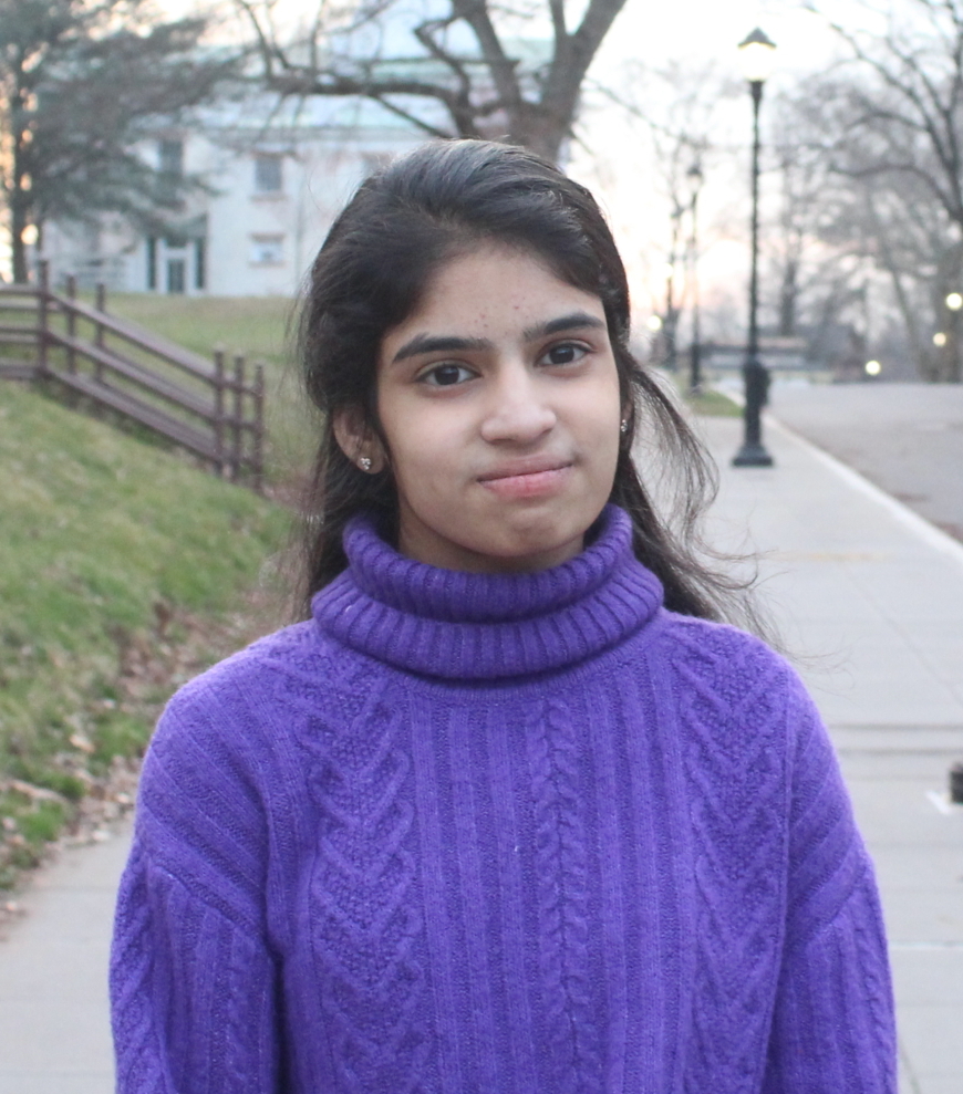 Neha Yalamanchi – Constituting America